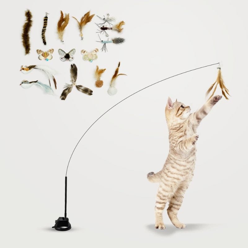 Cat Feather Toy Attachments (15 Pcs) – Leos paw